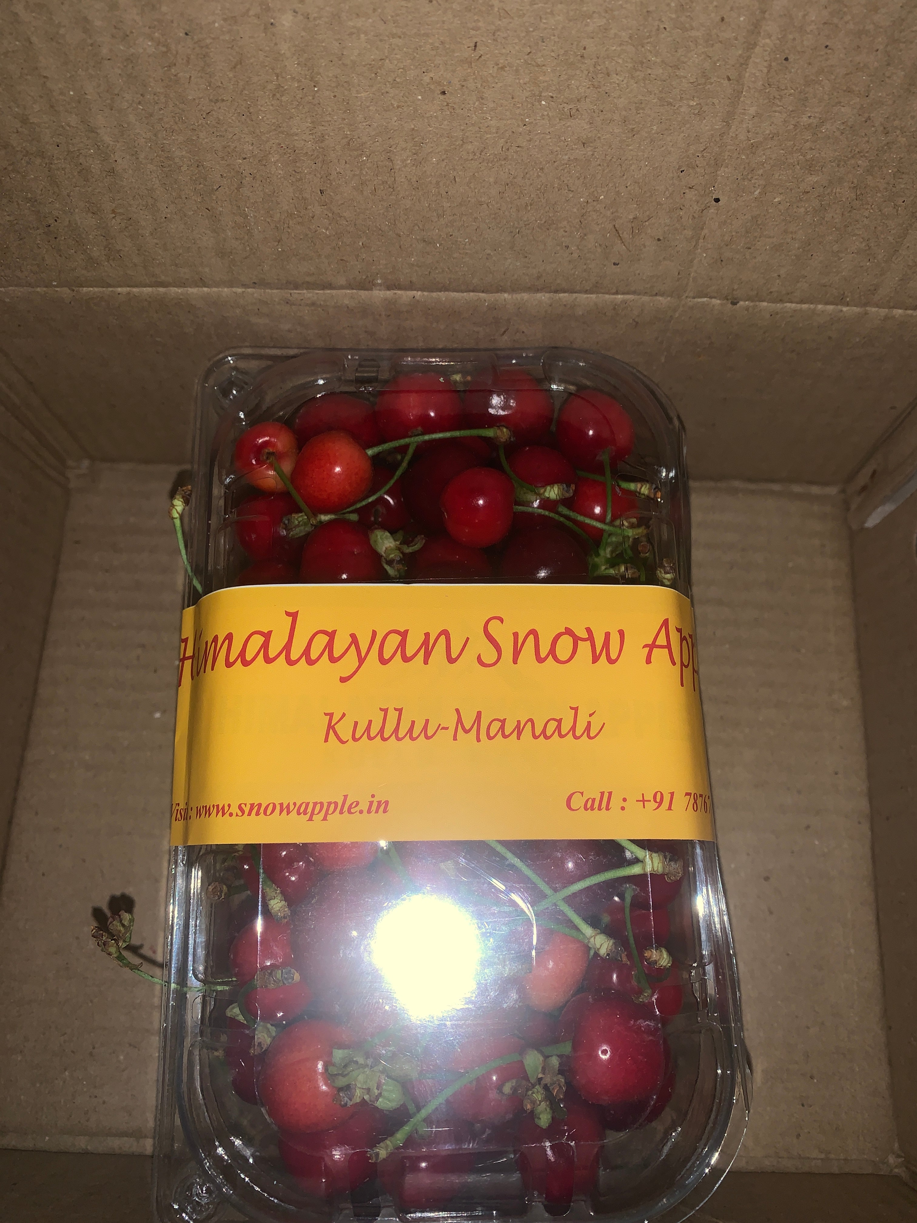 Home page – Himalayan Snow Apple