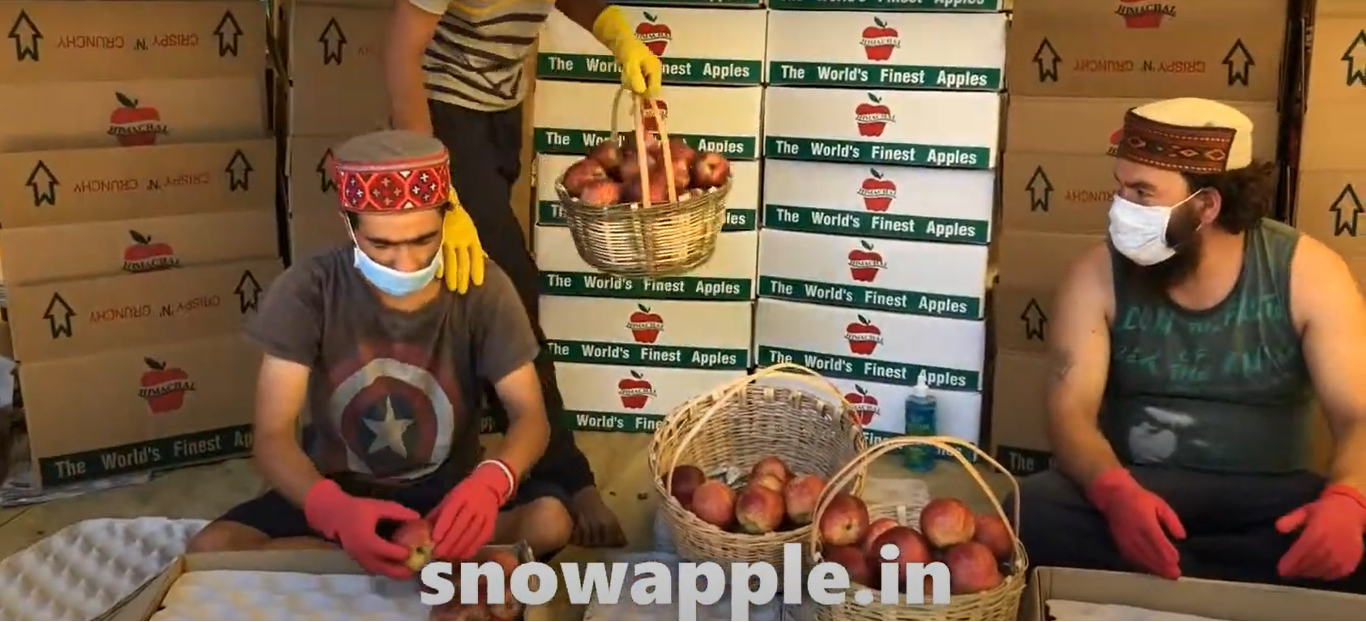 Products – Himalayan Snow Apple